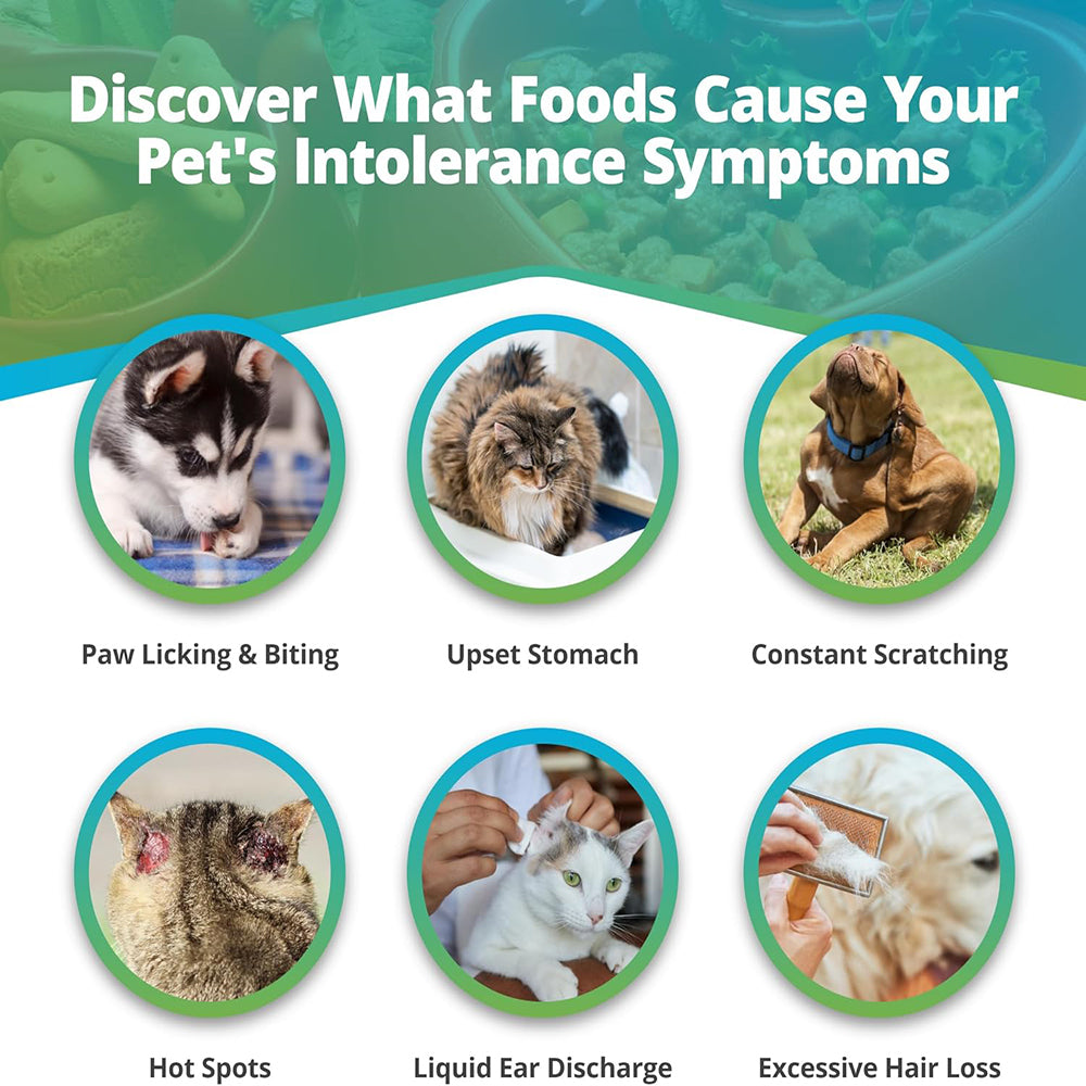 Pet Food Intolerance Test